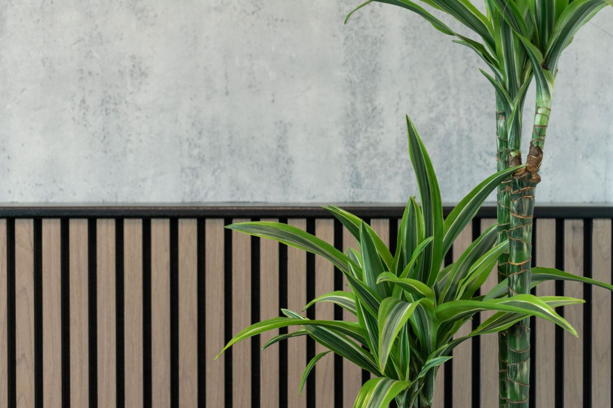Sustainable Office Design Guide - Upgrade to a Green Office of the Future